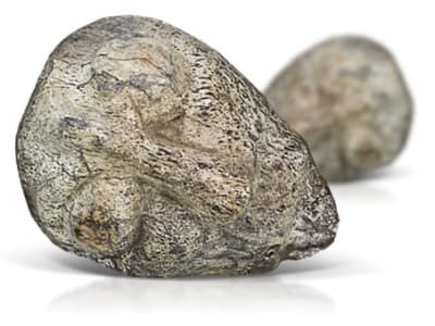 Bone Gem Guide and Properties Chart | Gemstones.com